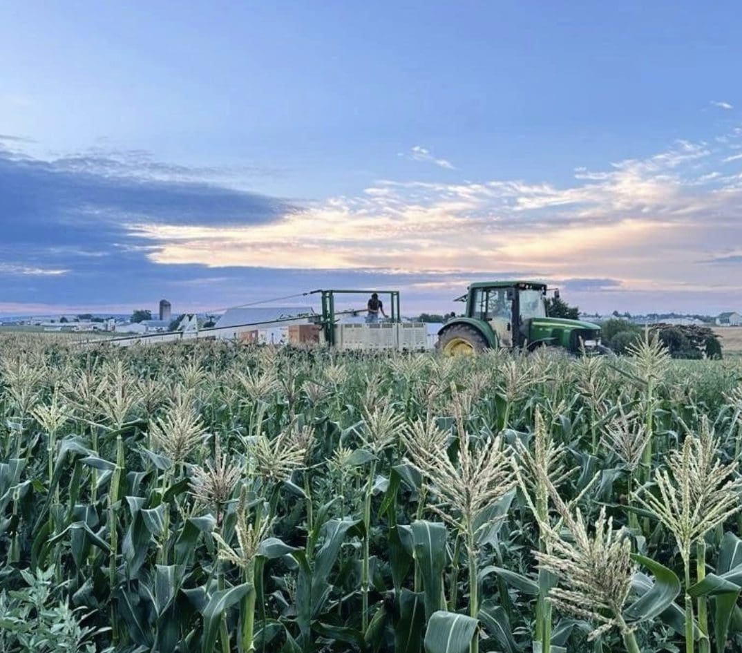 About Us | Farms in Chester County, PA | Dutch Country Farm Market