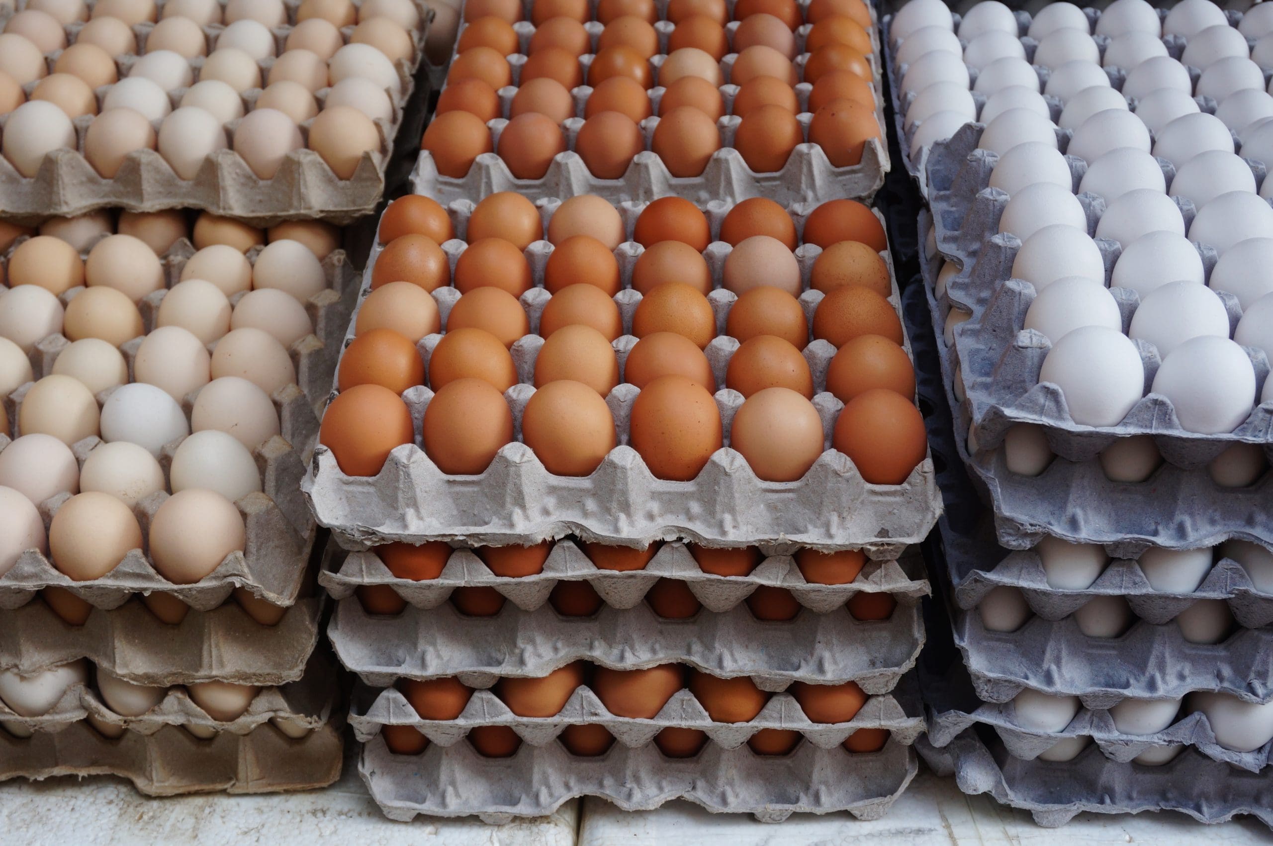 Wholesale Fresh Farm Eggs in Spring City, PA
